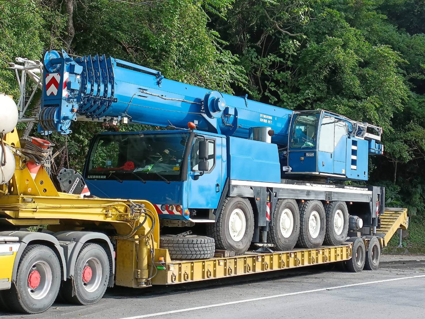 ltm1095 5.1 - 欣安益國際有限公司